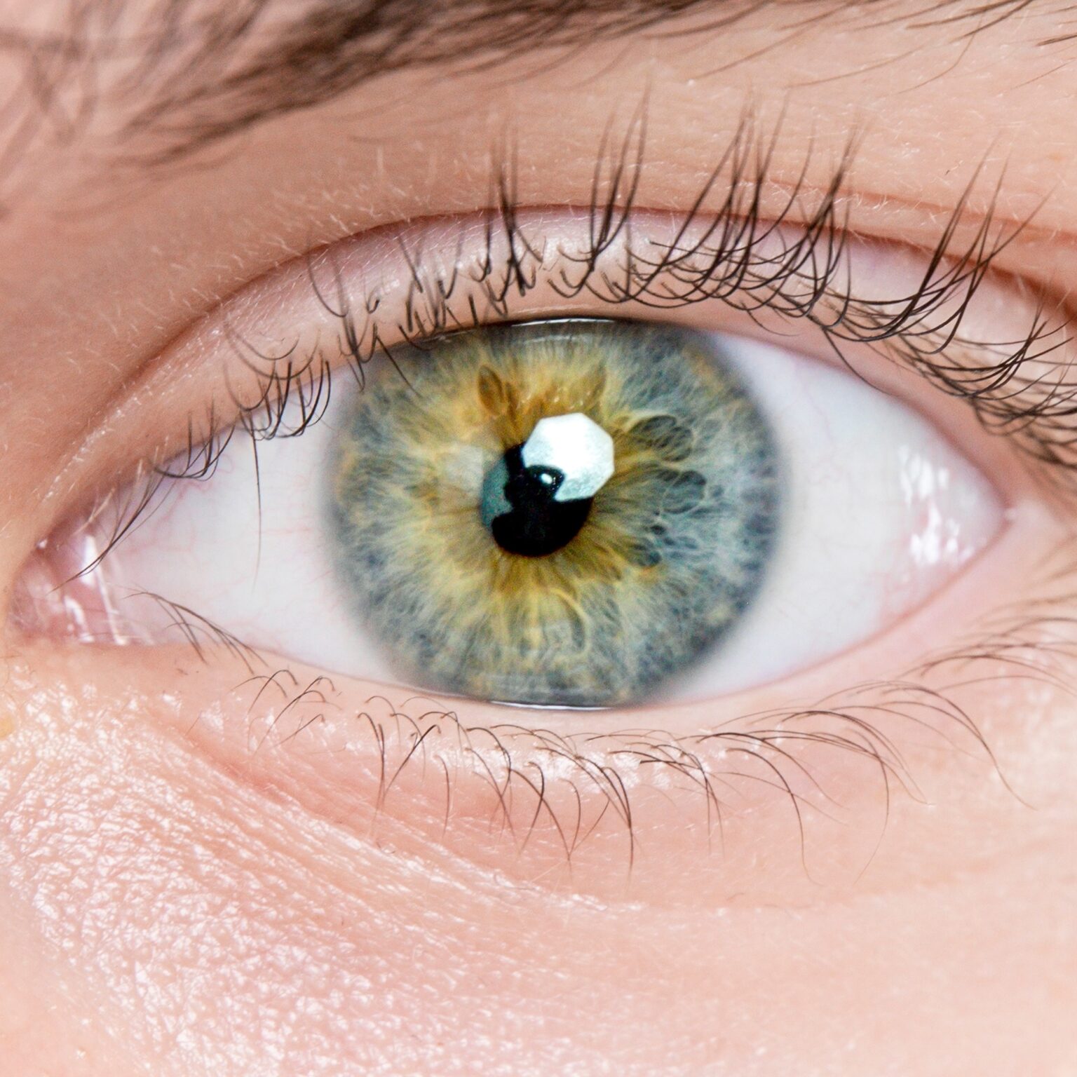 Advanced Family Eye Care | Eye Doctors in Denver & Sherrills Ford, NC